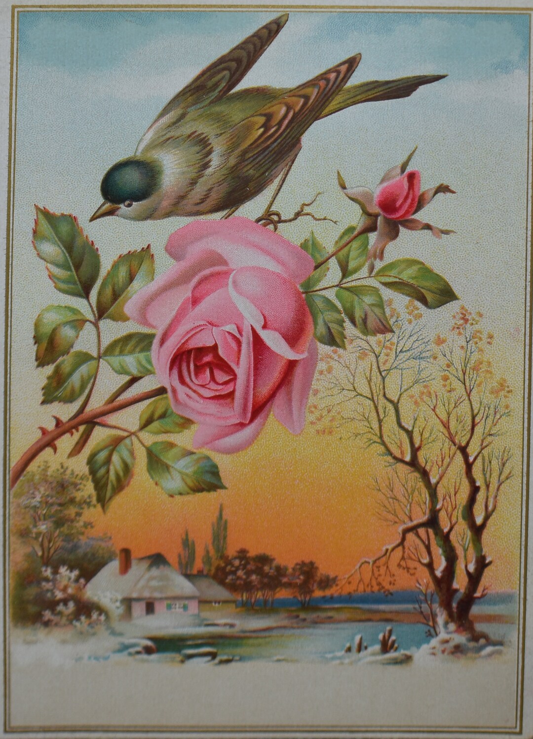 Vintage Four Embossed Trade Cards Color Bird Roses Victorian Paper ...