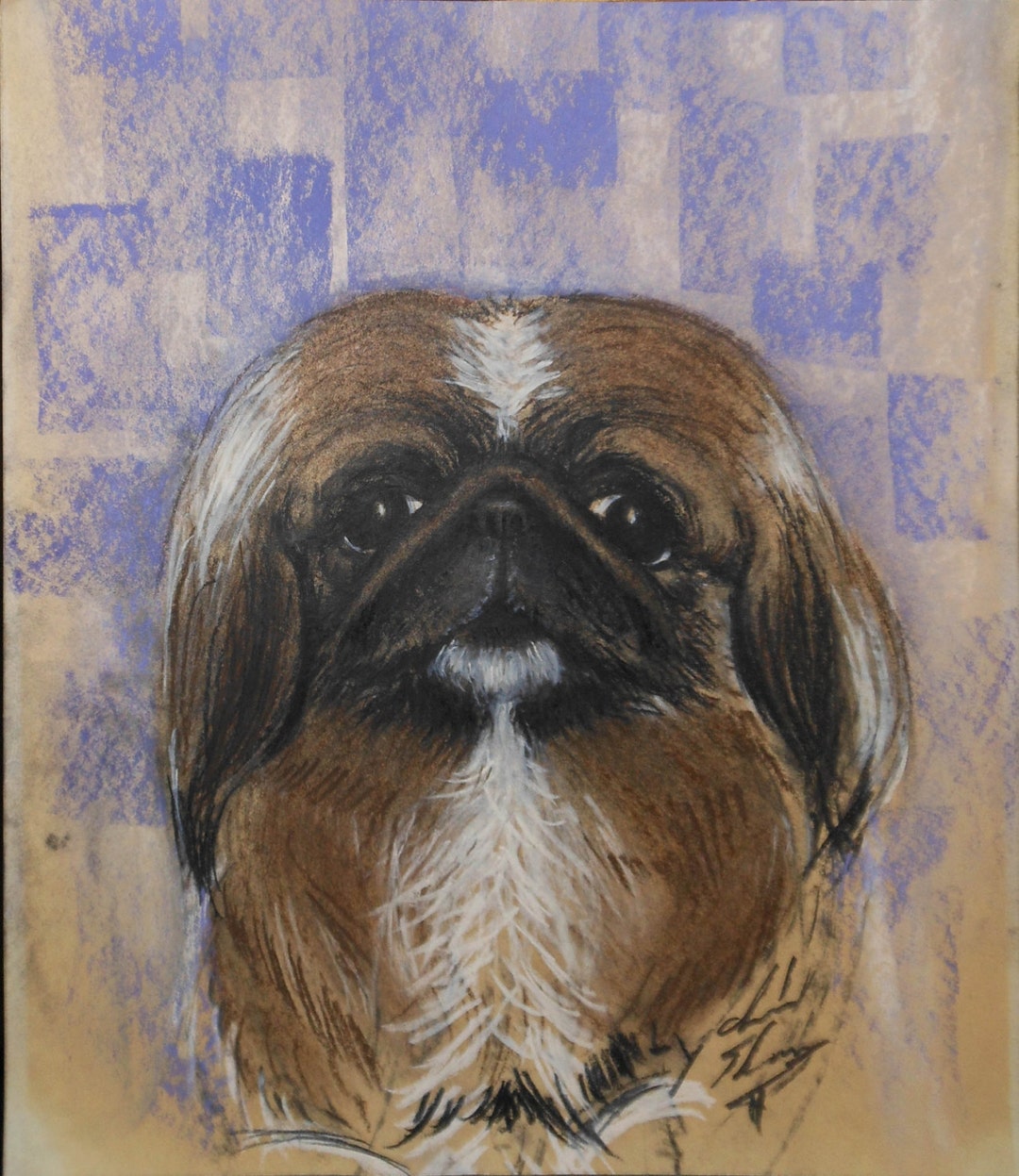 Vintage Pekingese Art Pastel Drawing Blue Back Ground of Pekingese Dog ...