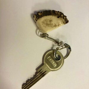 Moose Antler Keychain - Etsy