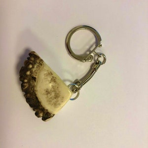 Moose Antler Keychain - Etsy