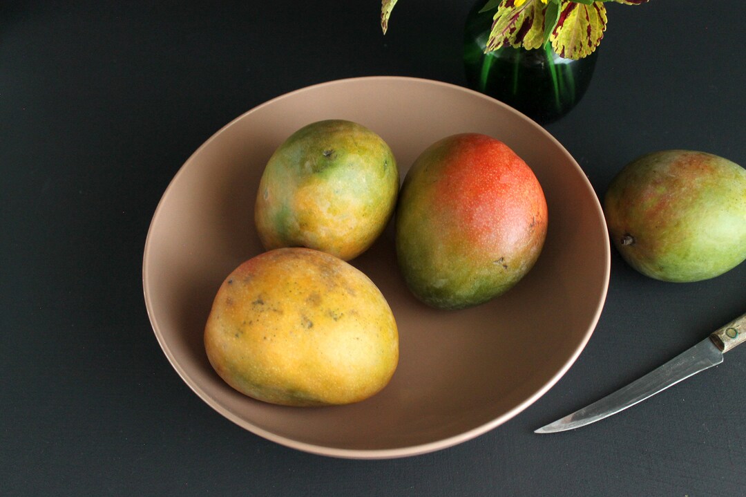 Vintage Miramar Melmac Dinnerware Round Brown Serving Bowl 101 by ...