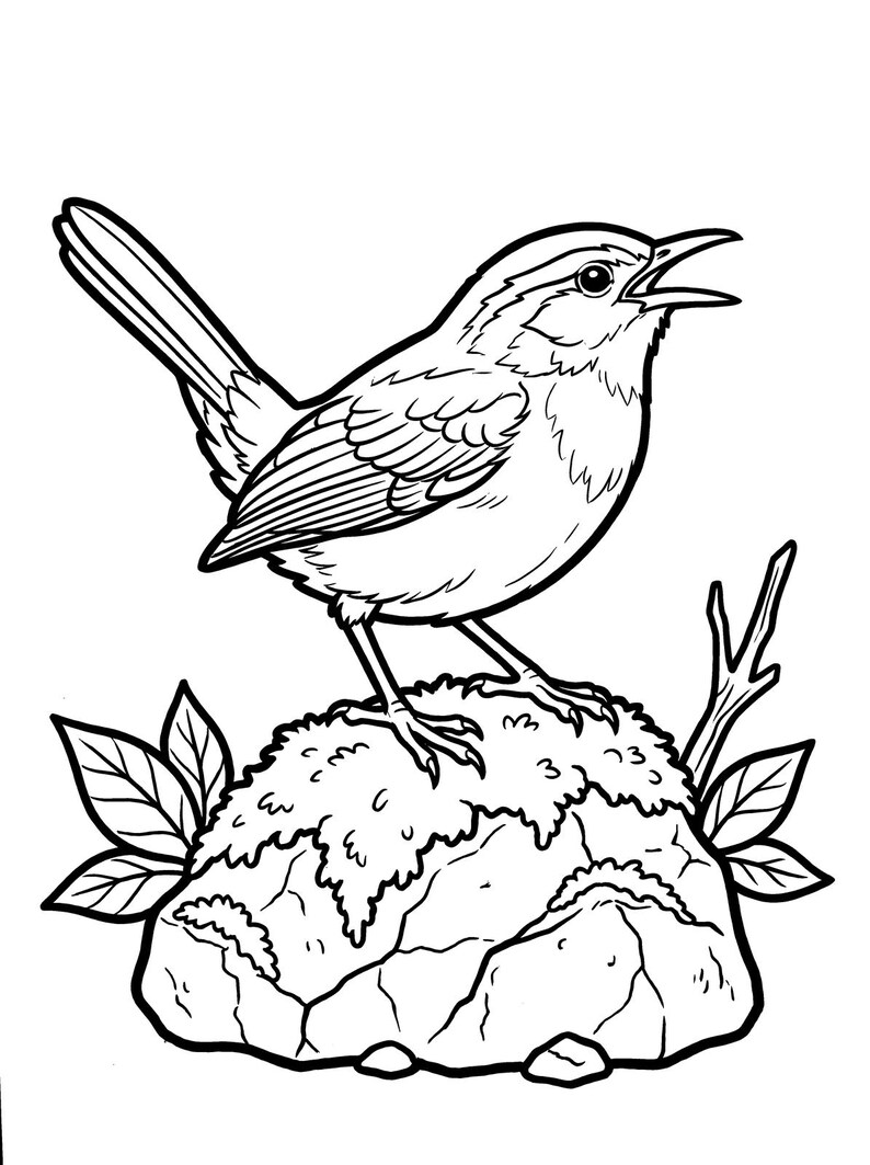 Backyard Birds Coloring Pages, Cardinal, Blue Jay, Robin Designs ...