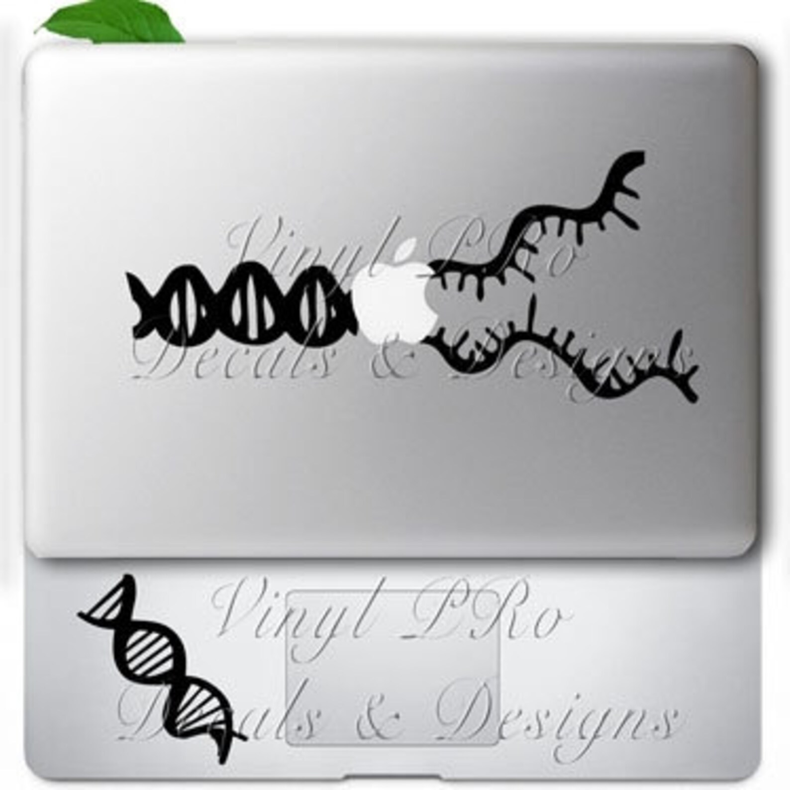 Biology DNA Zipper Helix Virus Lab Microscopy Biotech Biochem | Etsy