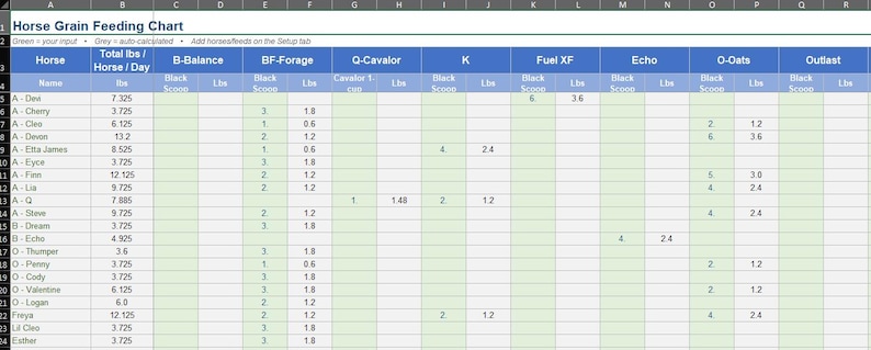 Barn/horse Feeding Chart Spreadsheet — Track Grain, Supplements, Bag ...