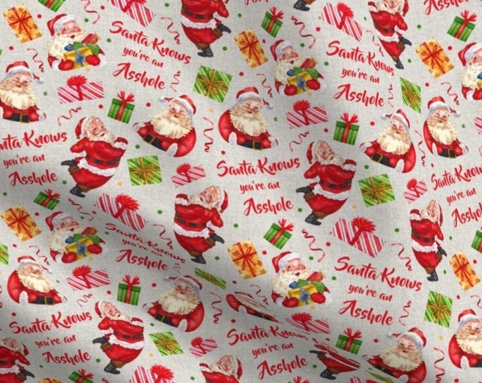 Santa Knows You're an Asshole Medium Scale Sarcastic Sweary Christmas ...