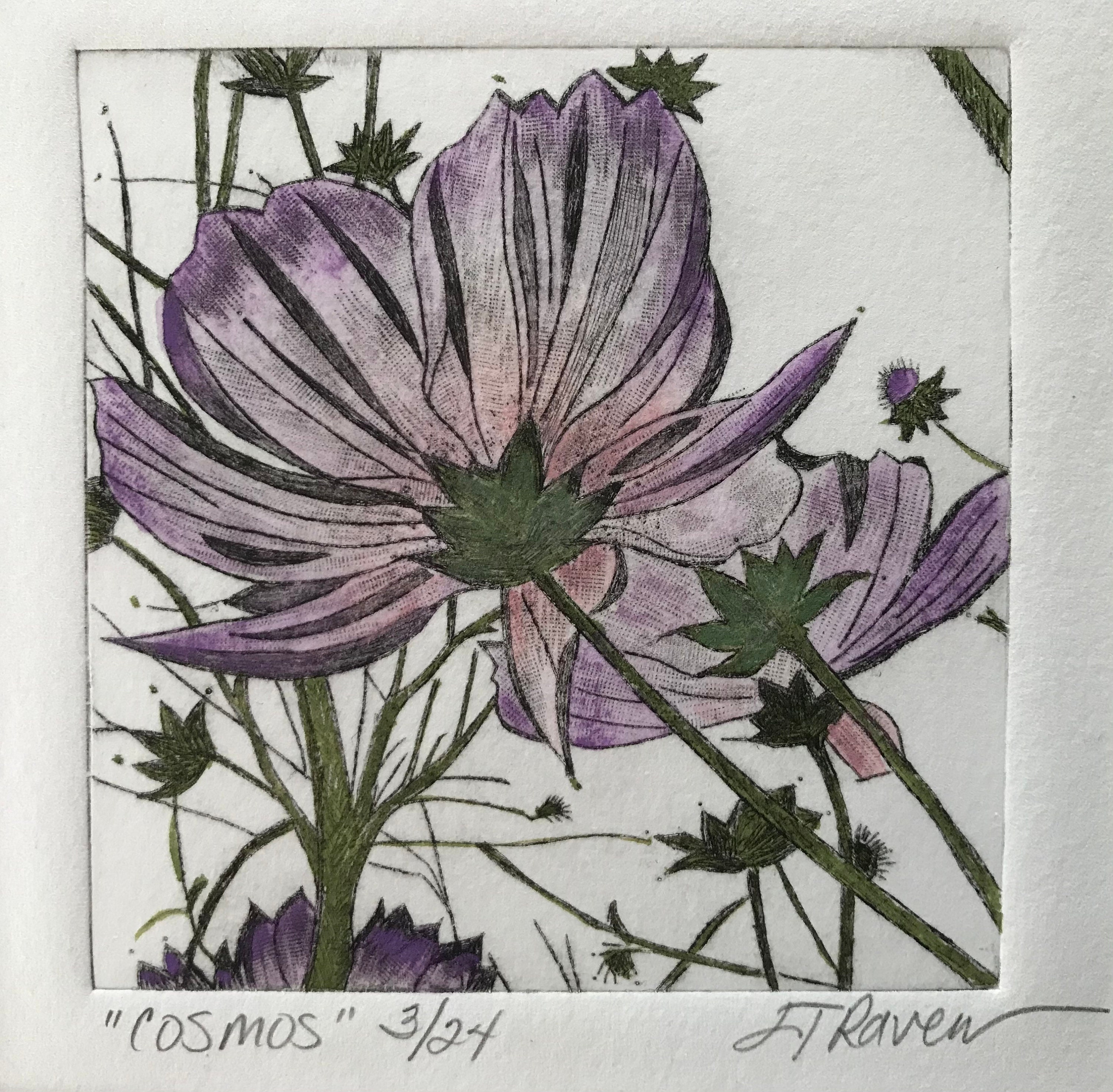 COSMOS Limited Edition Drypoint Print - Etsy UK