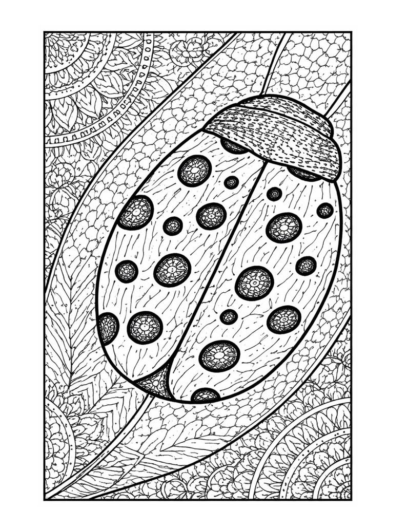 Insects and Bugs Adult Coloring Pages( Sheets) Digtal Download (PDF) - Etsy