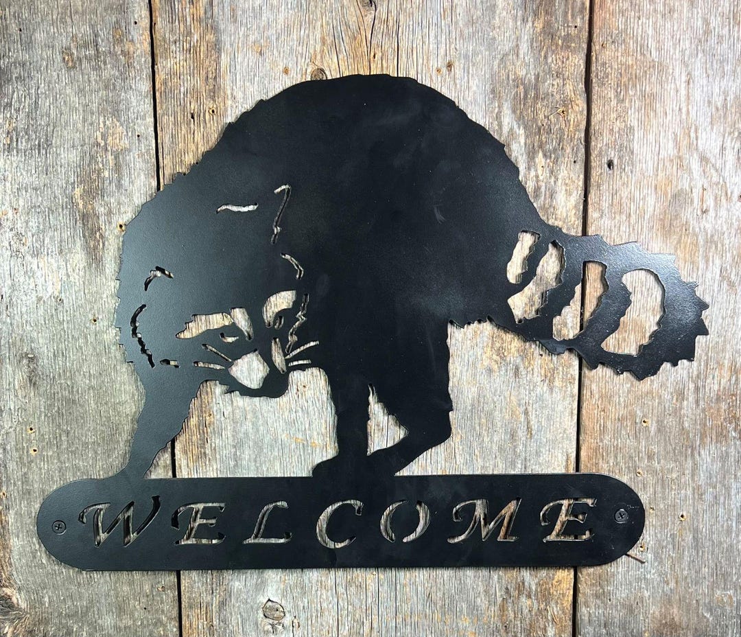 Raccoon Welcome Sign - Etsy