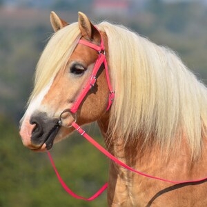 ARAB Size AUSTRALIAN Aussie Barcoo Outrider BRIDLE Made From Beta ...