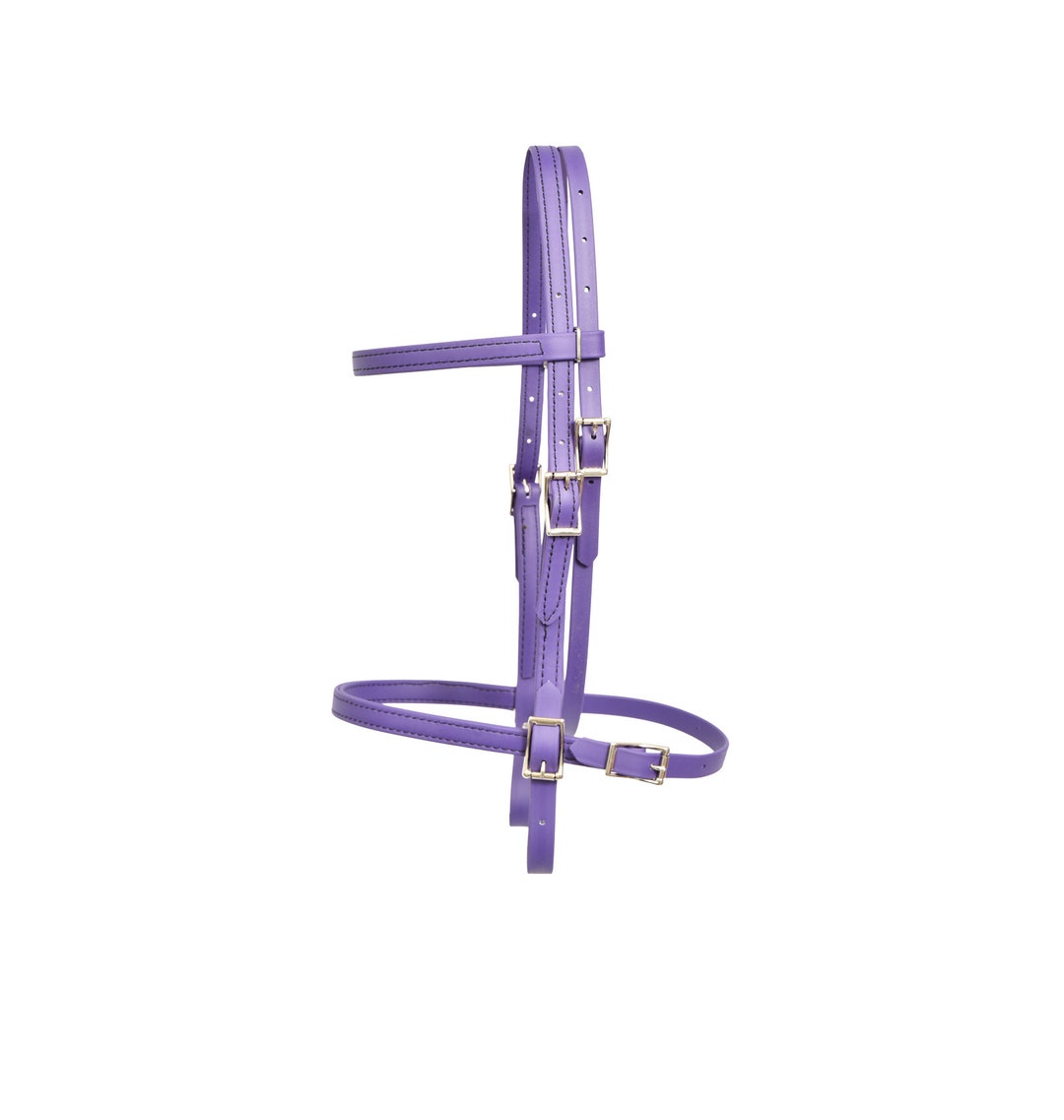 Horse Size READY MADE Purple ENGLISH Bridle Made From Beta Biothane - Etsy