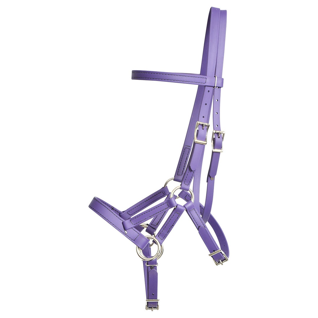 Horse Size READY MADE Purple SIDEPULL Bitless Bridle Made From Beta ...