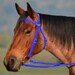 ARAB Size AUSTRALIAN Aussie Barcoo Outrider BRIDLE Made From Beta Biothane - Etsy