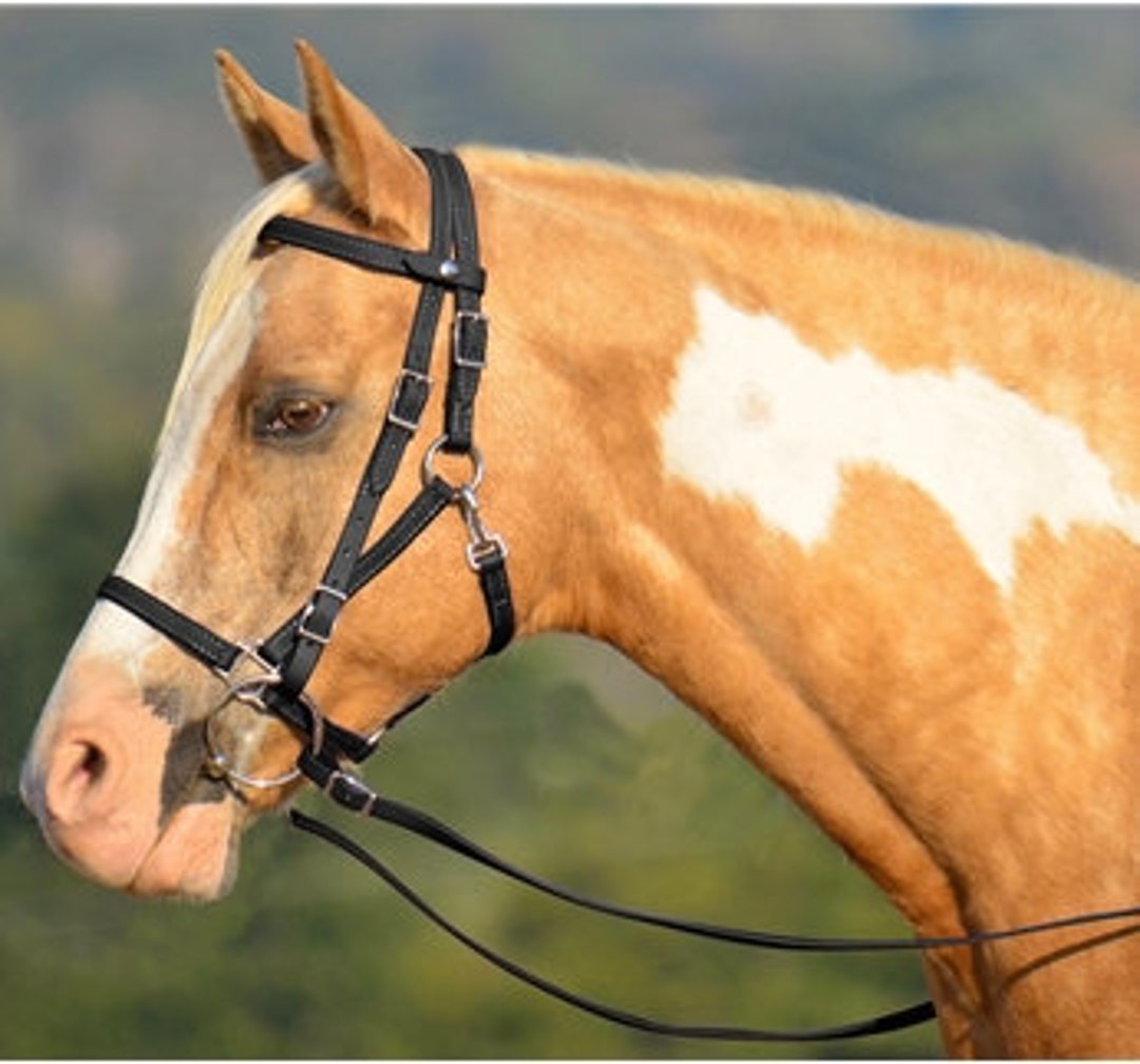 Quick Changehalter BRIDLE & REINS Made From Leather - Etsy