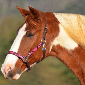 Cob Size TURNOUT HALTER Camo Beta Biothane - Etsy