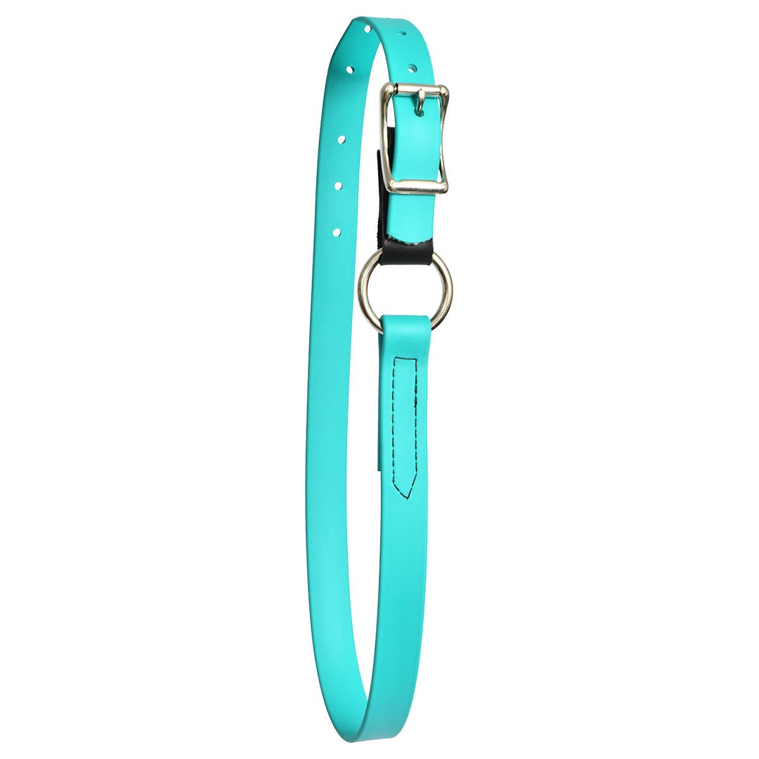 READY Made-horse Size Teal Beta Biothane Turnout Neck Collar Leather ...
