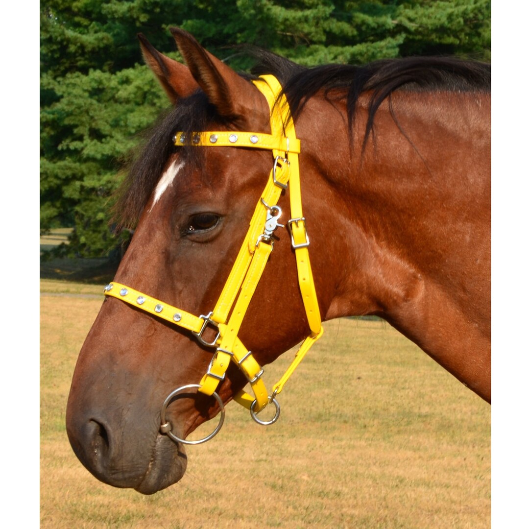 Cob Sizehalter BRIDLE With Bling and Bit Hangers - Etsy