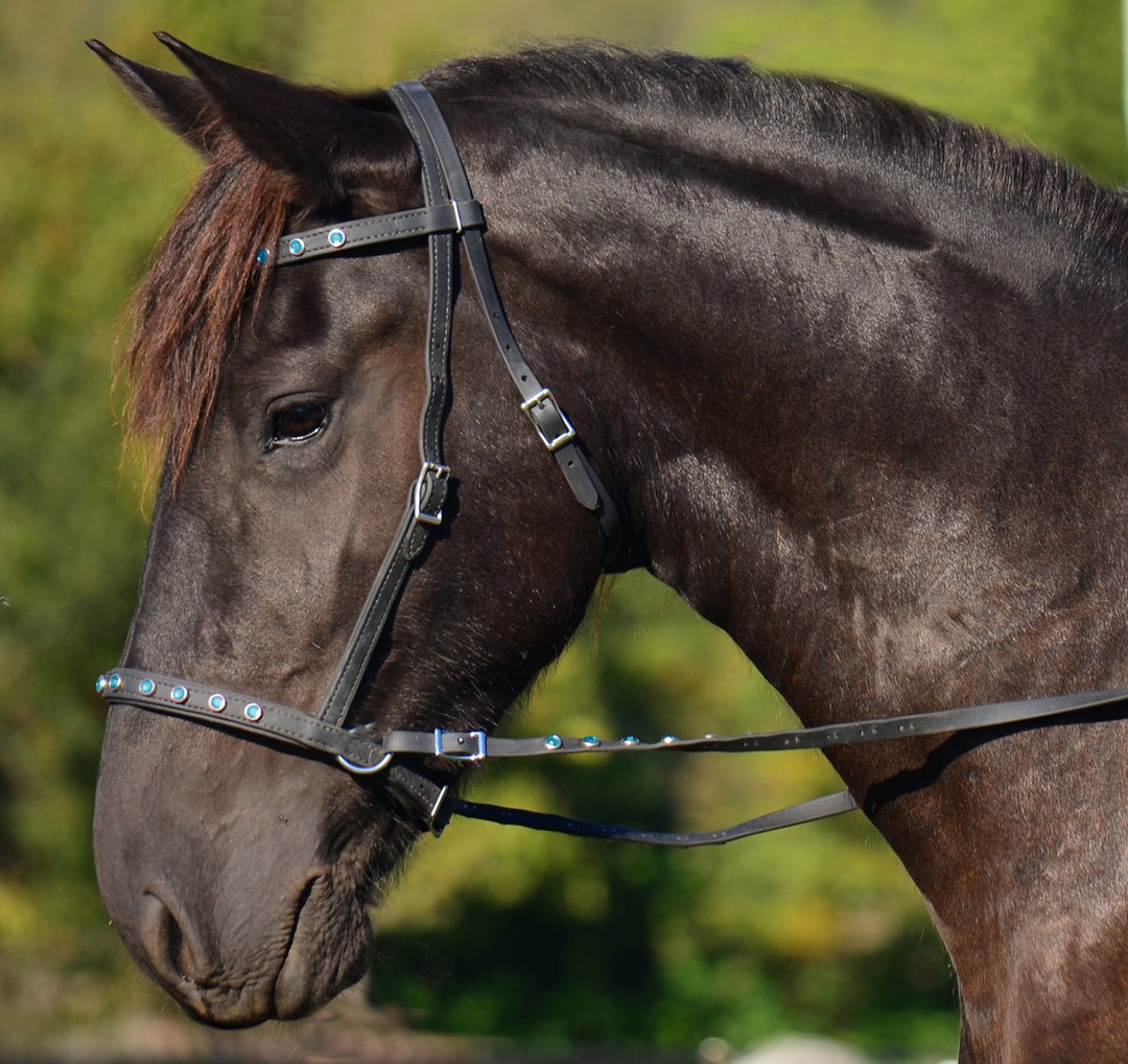 Cob Sizebitless BRIDLE & Reins2-in-1 Style Bling - Etsy