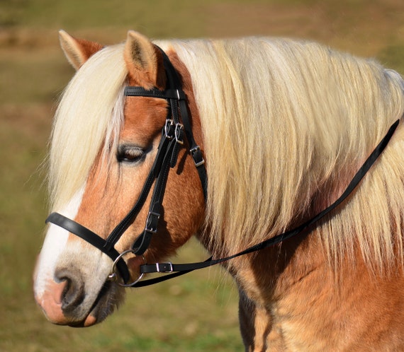 Arab Sizeenglish HUNT BRIDLE Made From Beta Biothane solid | Etsy