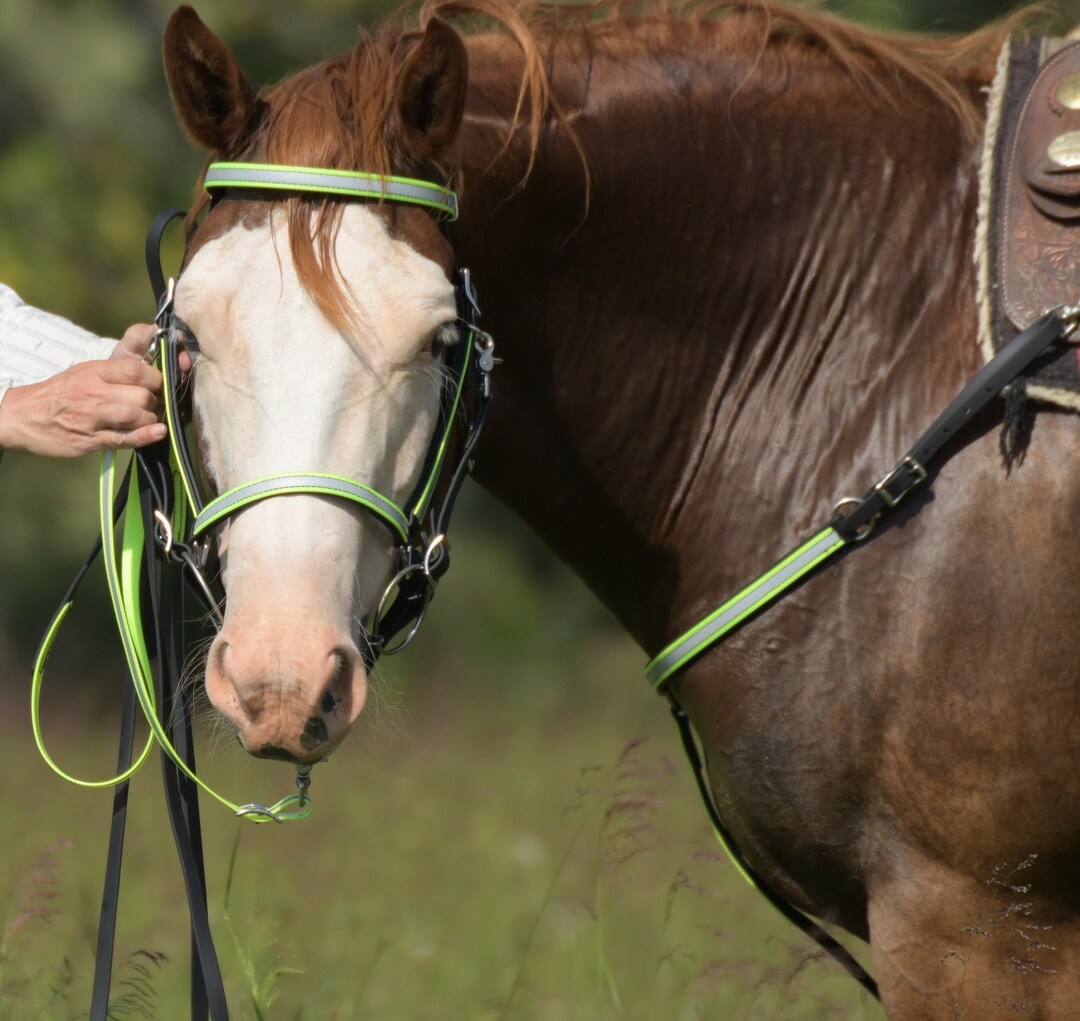 HORSE Size-reflective Halter Bridle W Bit Hangers SET Made - Etsy