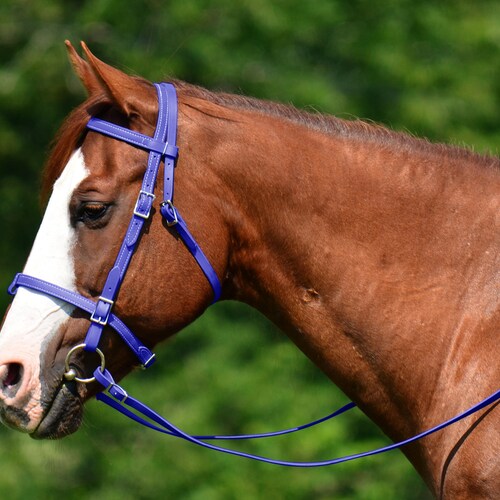 WESTERN BRIDLE Headstallfull Browband Beta Biothane - Etsy