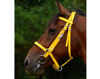 Bridle Bit - Etsy