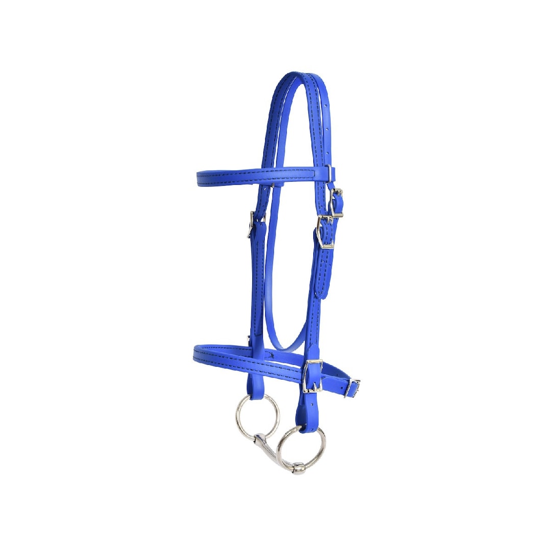 Horse Size READY MADE Royal Blue ENGLISH Bridle Made From Beta Biothane ...
