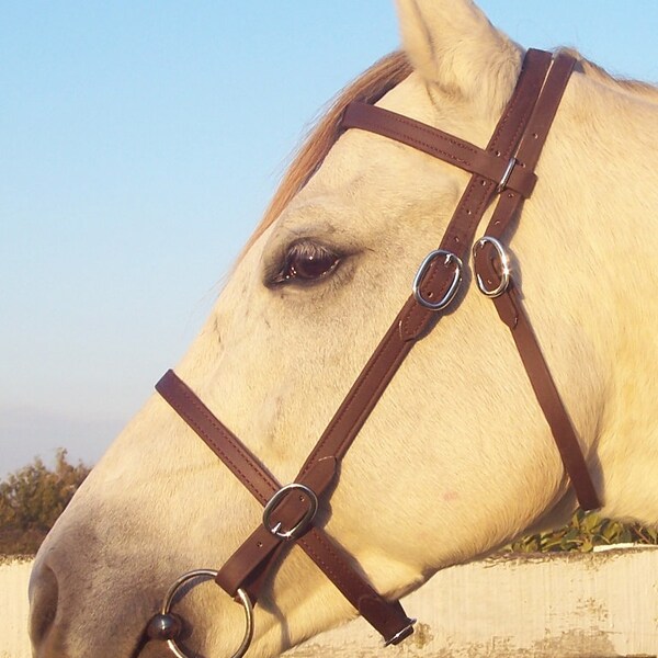 Biothane Headstall - Etsy