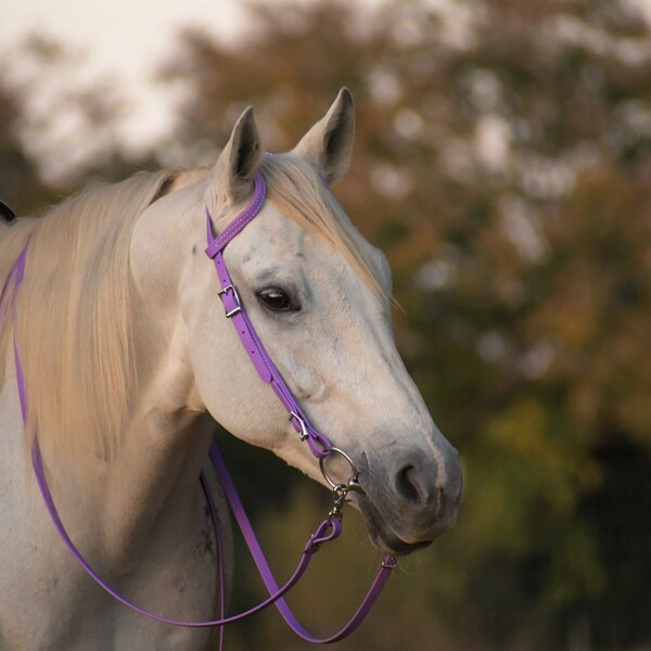 Unicorn Horse Bridle - Etsy
