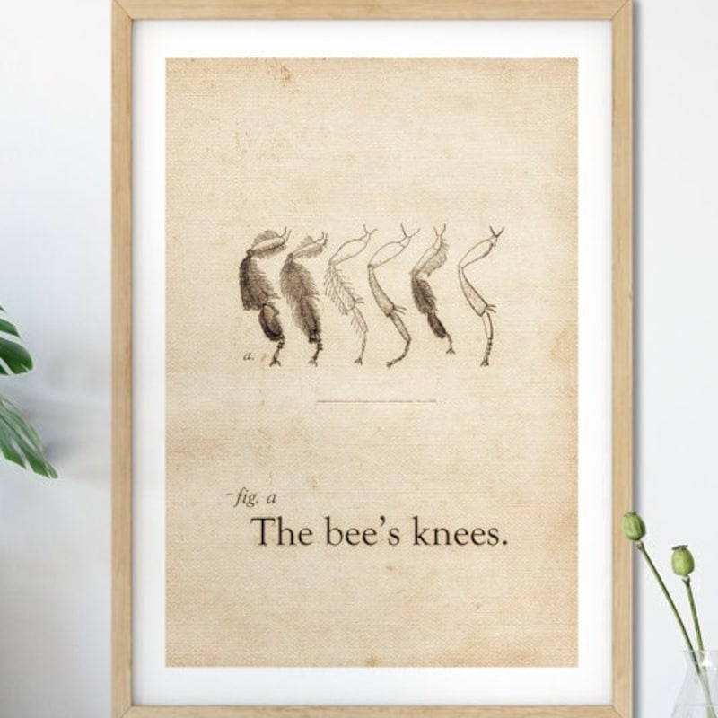 Bees Knees - Etsy