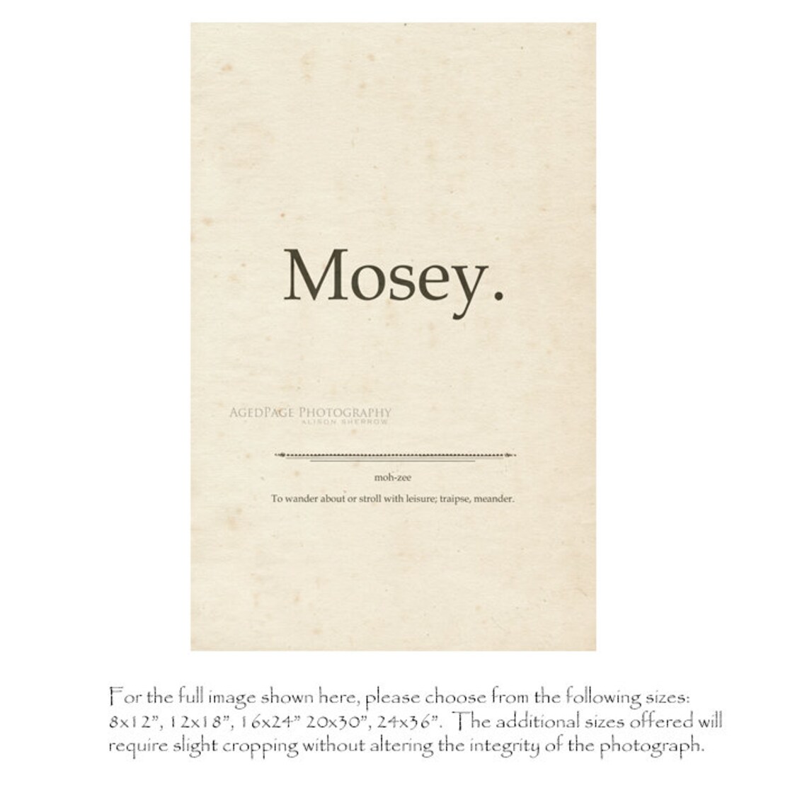 Whimsical Wall Art Dictionary Definition Rustic Farmhouse - Etsy