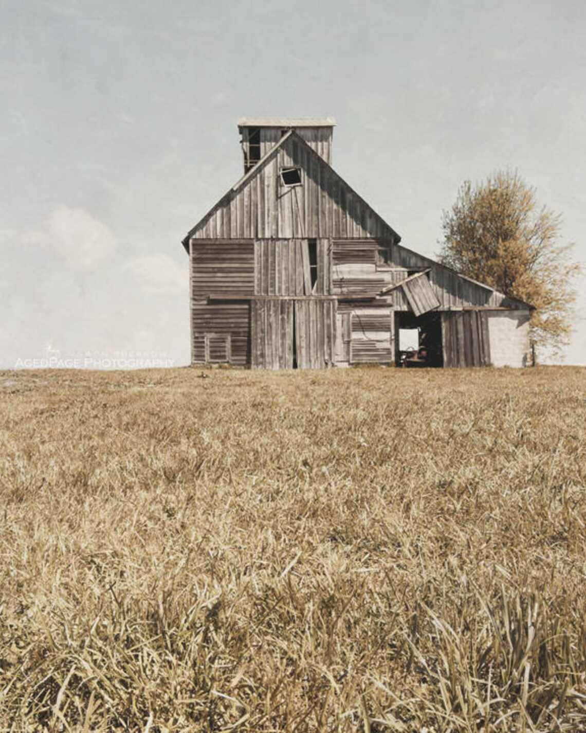 Rustic Barn Landscape Art Country Farmhouse Wall Decor | Etsy