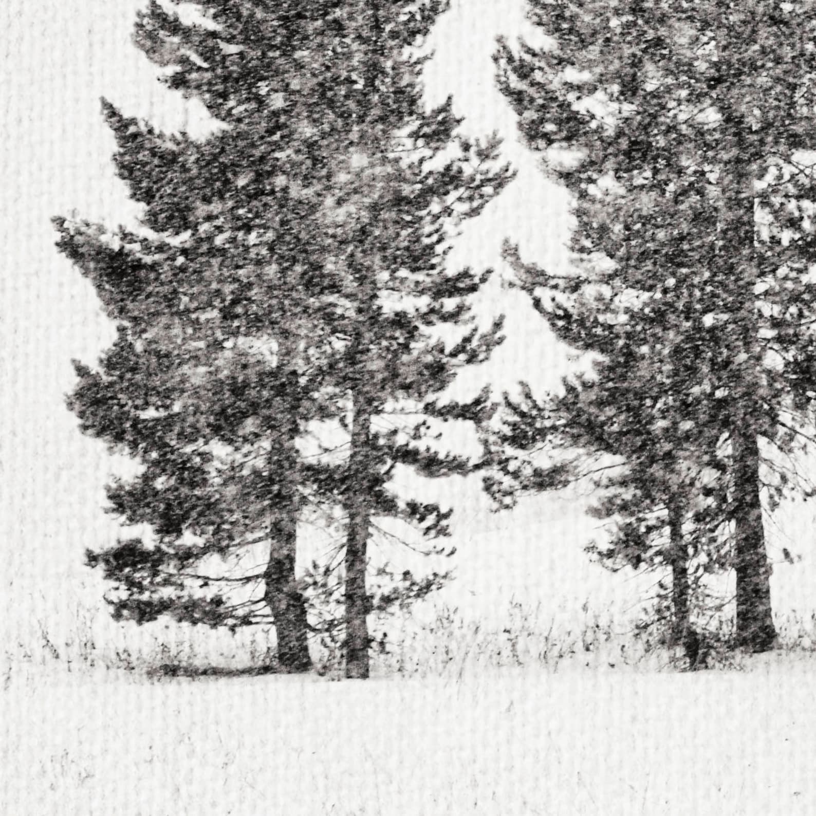 Tree Landscape Wall Art Winter Trees Neutral Colors Rustic - Etsy