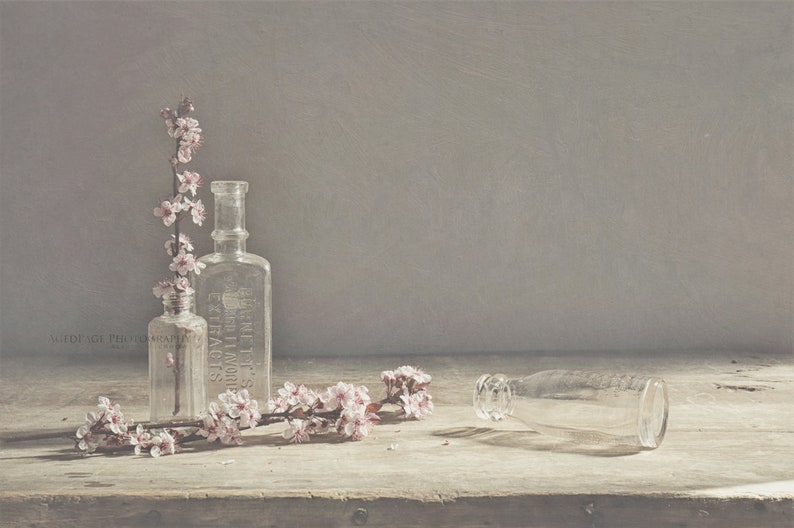 Pink Floral Wall Art Rustic Farmhouse Chic Bathroom Decor | Etsy