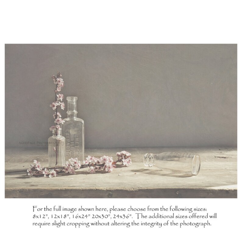 Pink Floral Wall Art Rustic Farmhouse Chic Bathroom Decor | Etsy