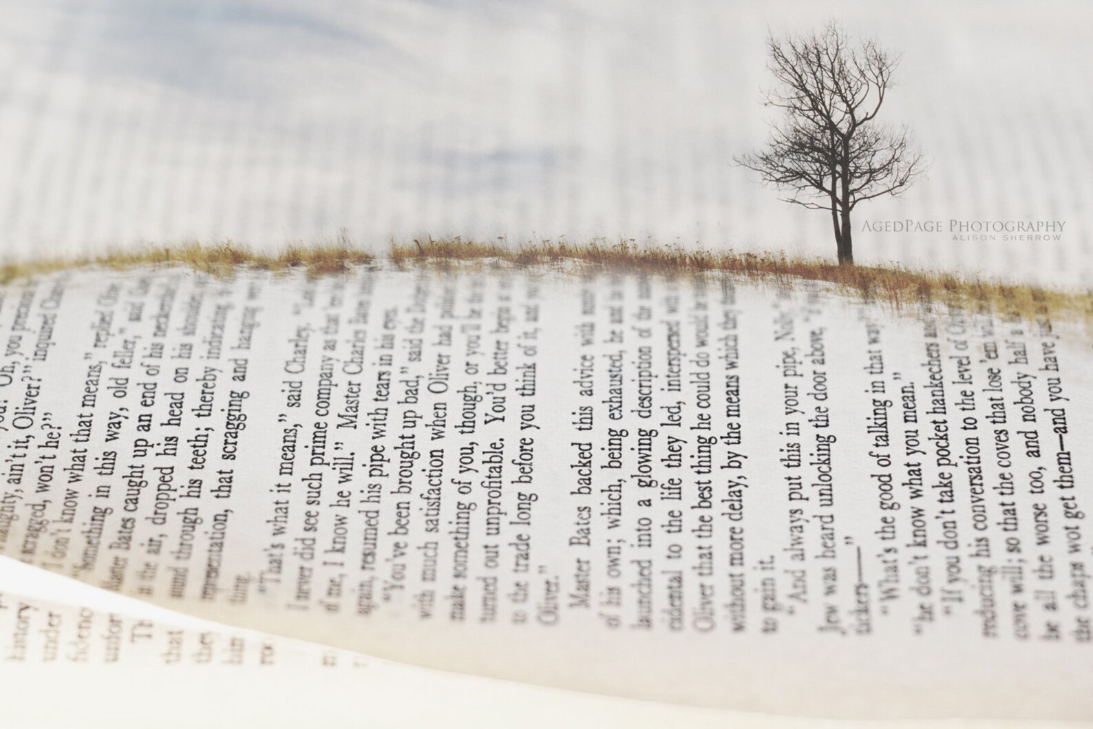 Abstract Landscape Wall Art Book Page Art Rustic Library | Etsy