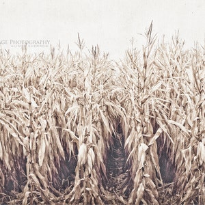 Rustic Farmhouse Wall Art Decor - Cornfield Farm Landscape, Rustic ...