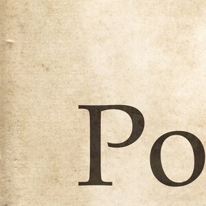 Whimsical Wall Art Rustic Book Page Inspired Art, Dictionary Word ...