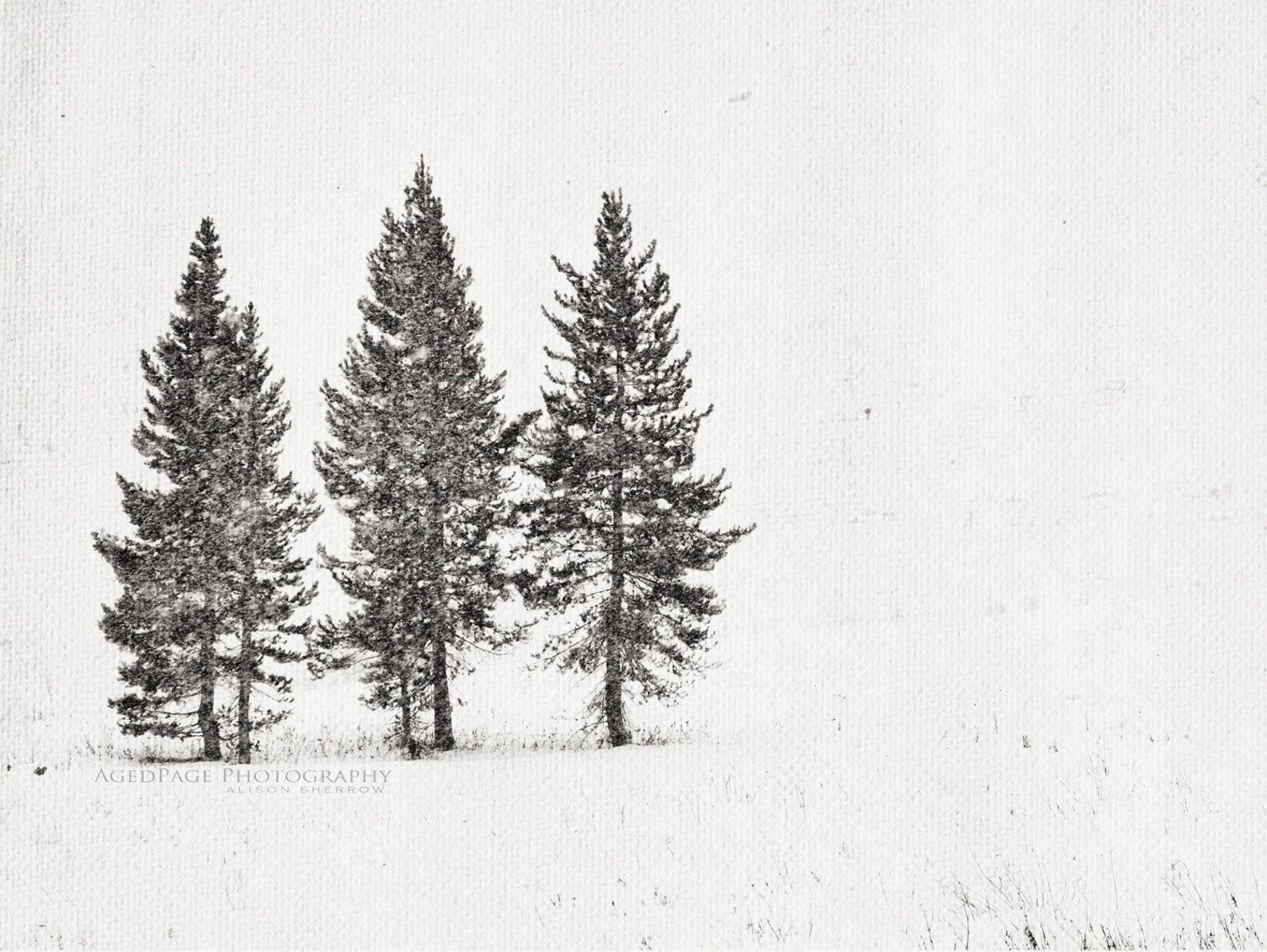 Tree Landscape Wall Art Winter Trees Neutral Colors Rustic - Etsy