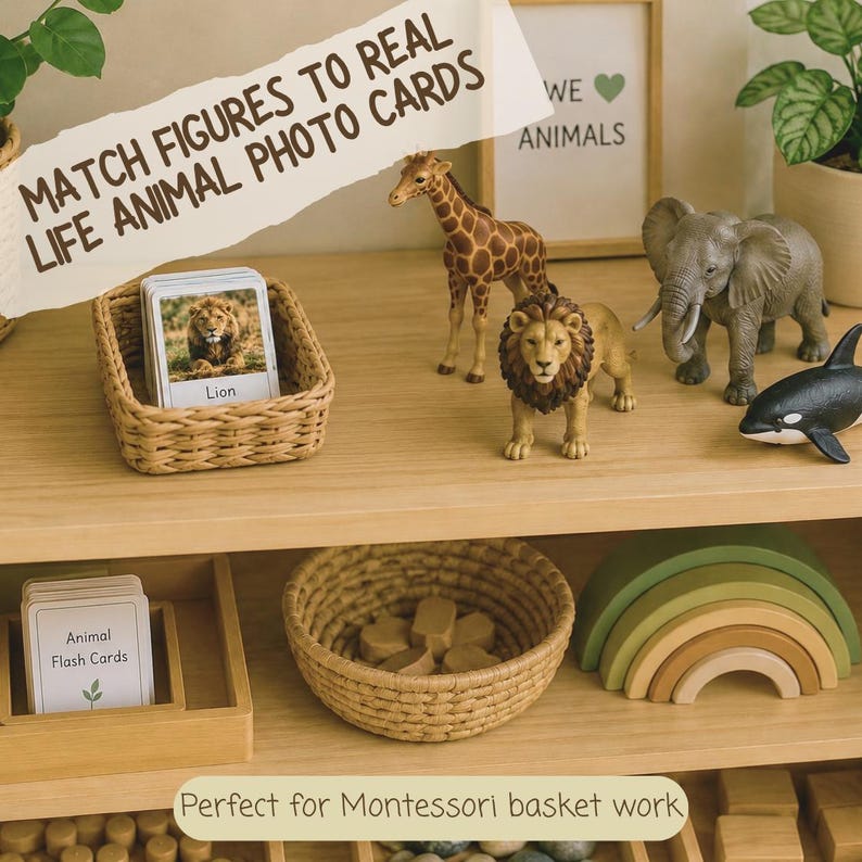 Animal Flashcards | Montessori Animal Cards | Real Animal Photos ...