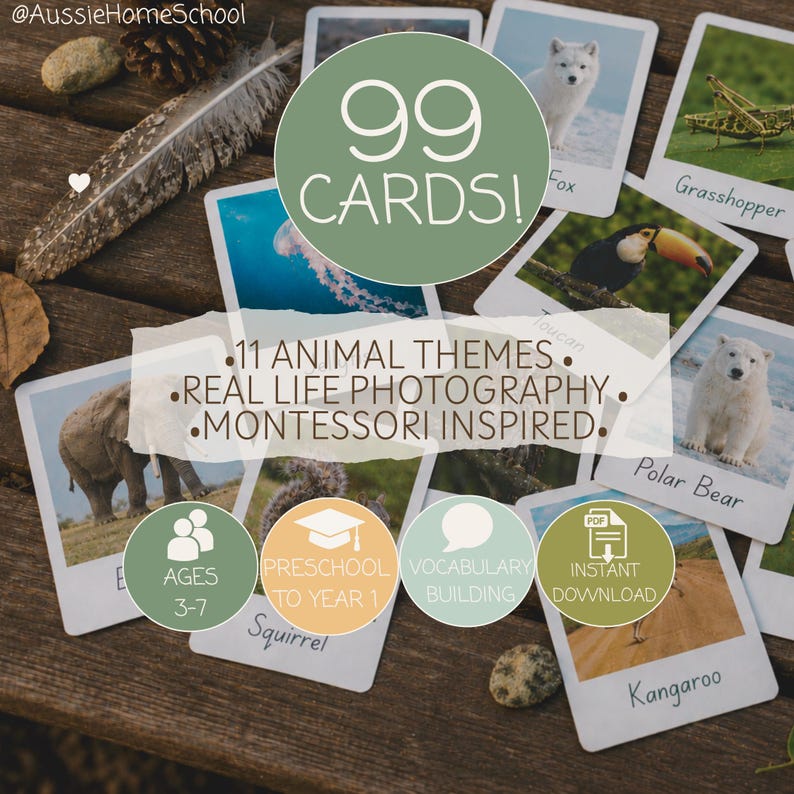 Animal Flashcards | Montessori Animal Cards | Real Animal Photos ...