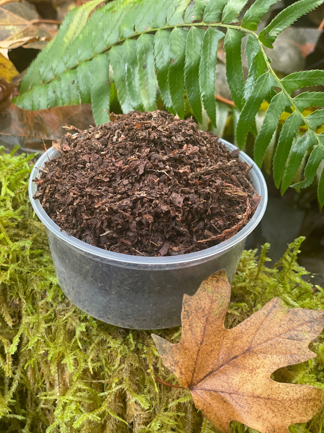 100% Organic All Natural Forest Floor Humus Substrate Additive - Etsy