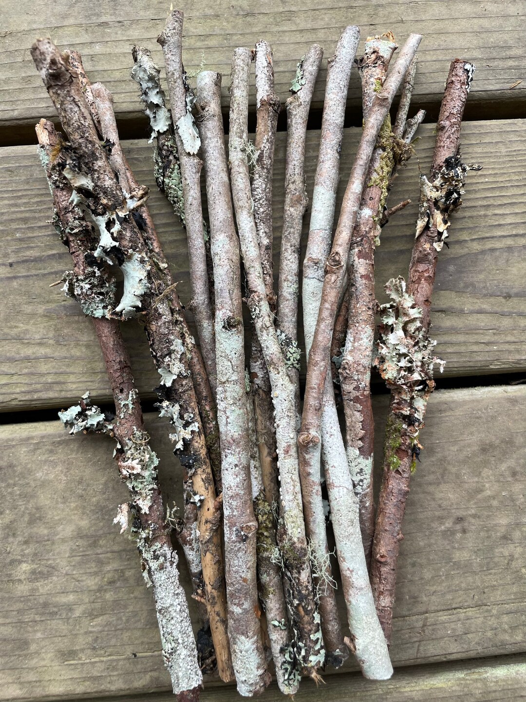 Lichen Twigs: 20 Piece Natural Foraged Sticks, DIY Fairy Garden ...