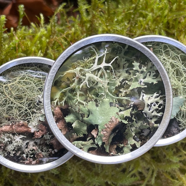 Lichen - Etsy