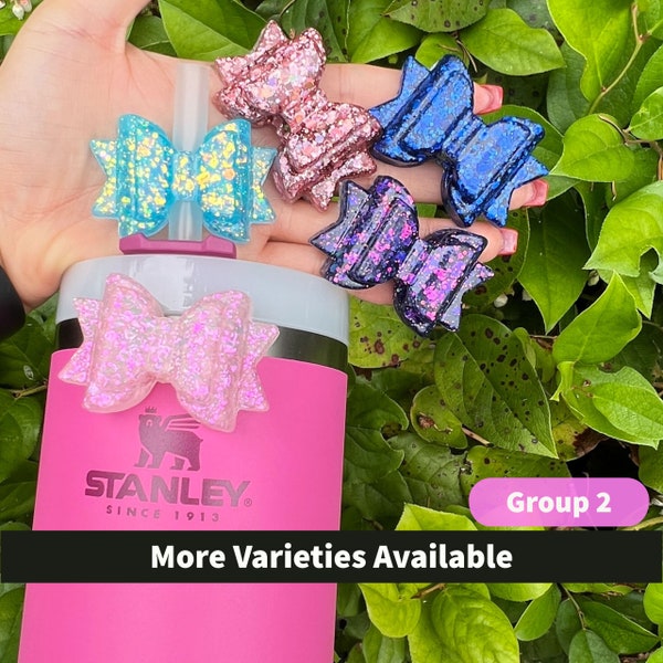 Stanley Charm Accessories - Etsy