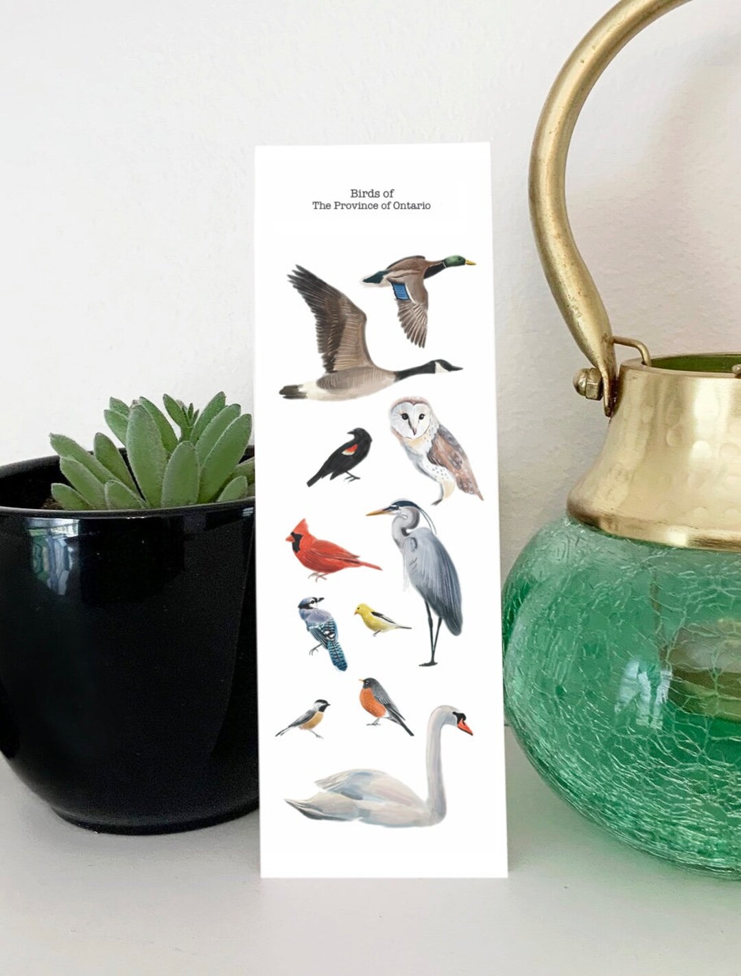 Birds of Ontario Bookmark, Glossy Finish, Standard Bookmark Size ...
