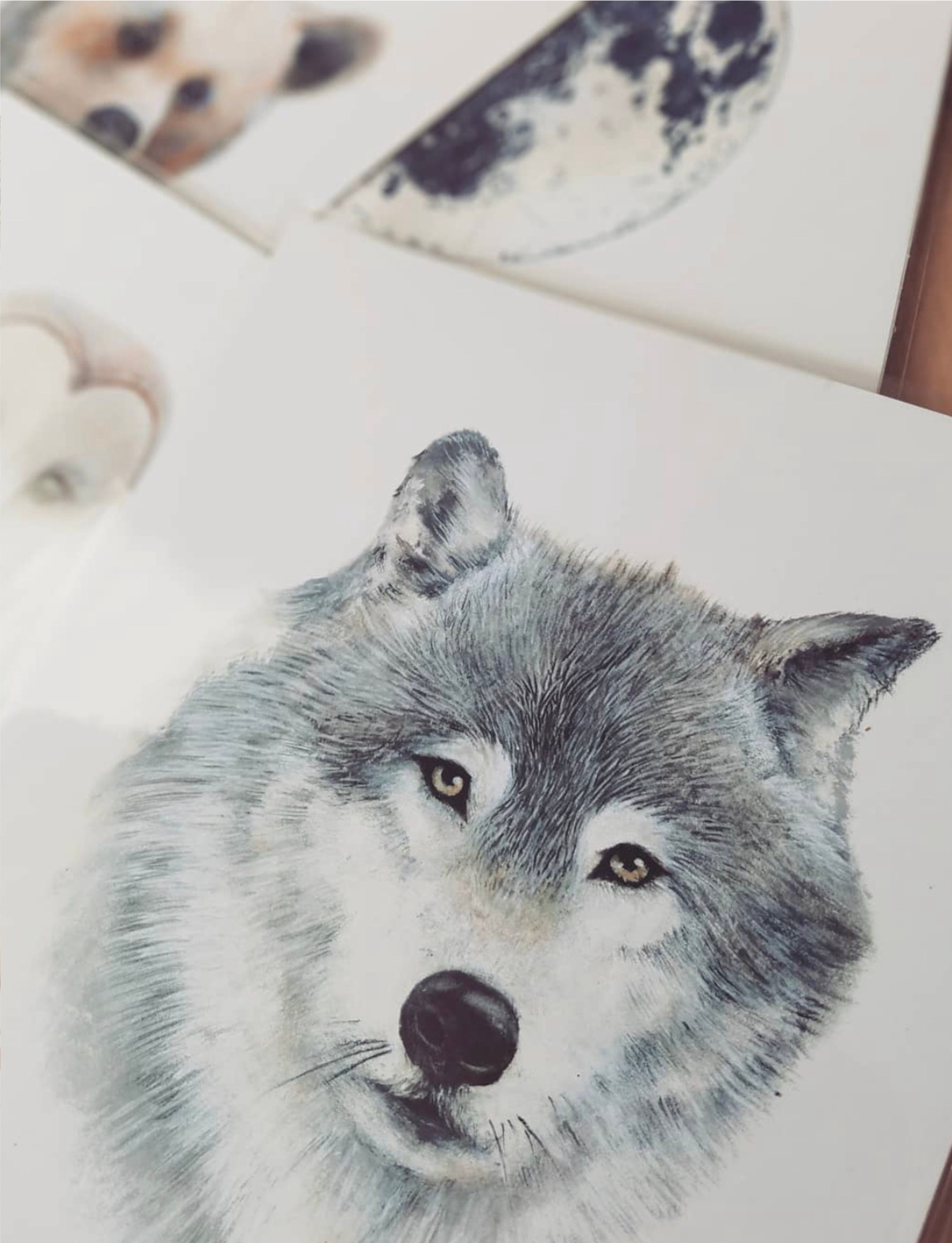 Grey Wolf 8 by 10 Inches Fine Art Print Wolf Art Animal - Etsy UK