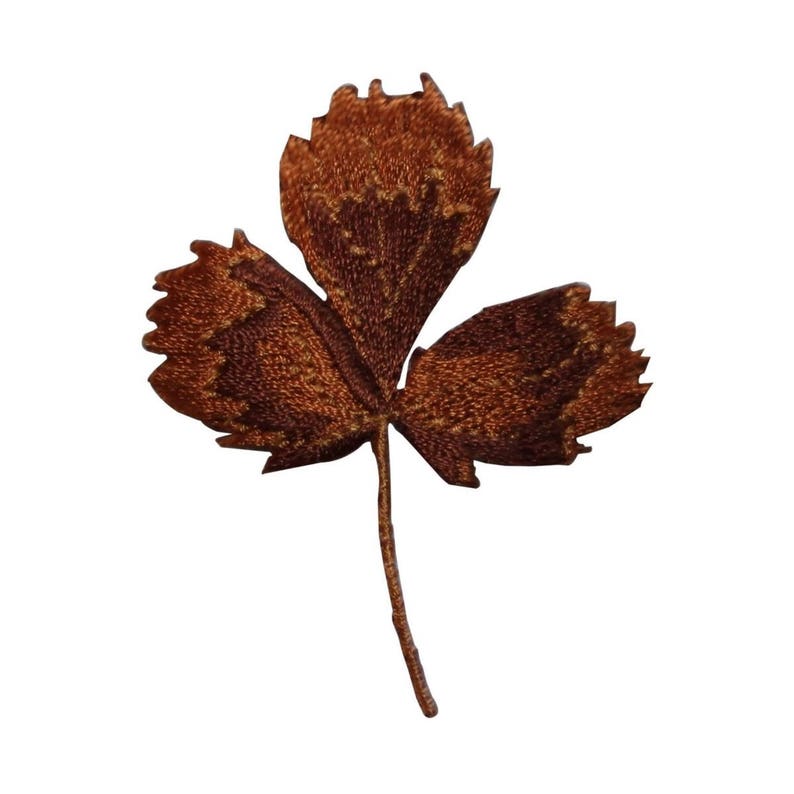 ID 7157 Brown Dried Clover Patch Nature Fall Autumn Embroidered Iron on ...