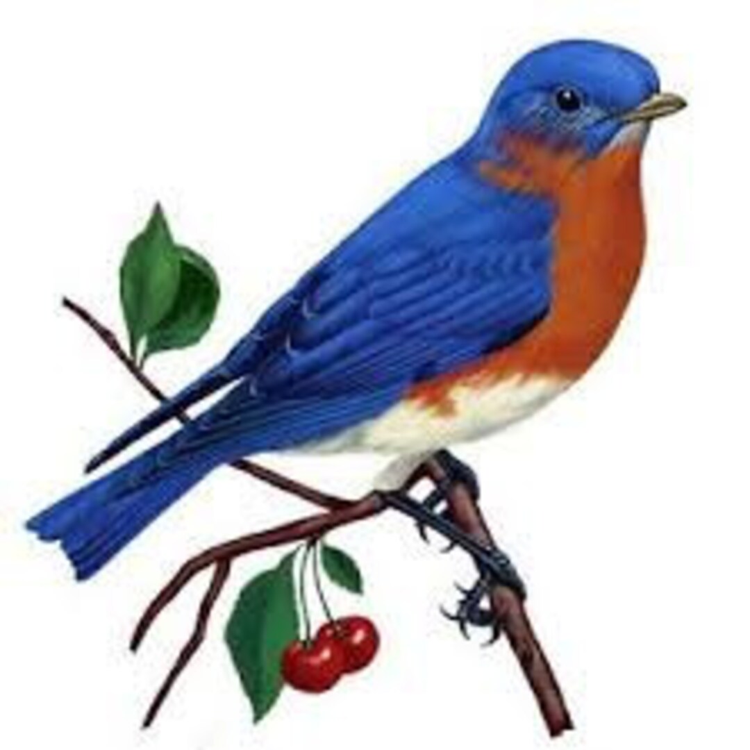 Bluebird Snap Charm 20mm for Snap Jewelry - Etsy