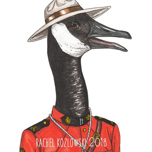 Canada Goose Canadian Mountie Archival Print | Etsy