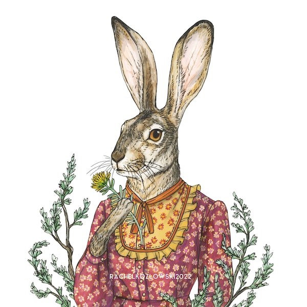 Jackrabbit - Etsy